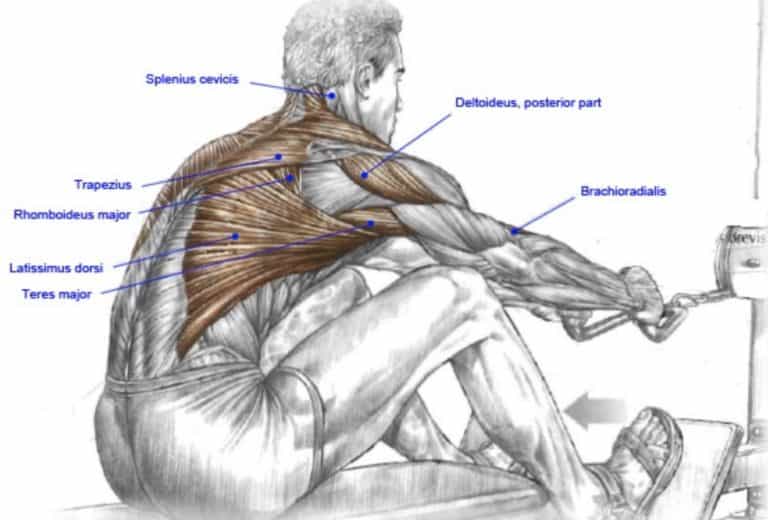 Complete Guide to Rowing Machine Shoulder Pain - Rowing Machine King